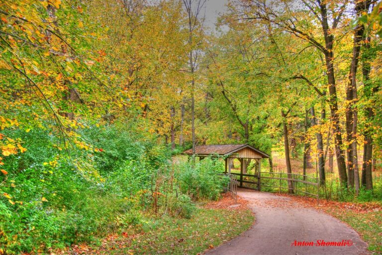 The Best State Parks Near Chicago | Chicago Beautiful