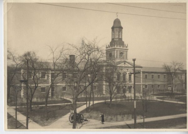 Austin | Chicago Beautiful