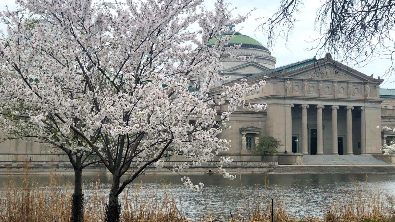 Jackson Park | Chicago Beautiful